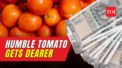 Delhi Tomato Price: Rains, hail in hills drive tomato prices in Delhi up by 400% | Delhi News ...