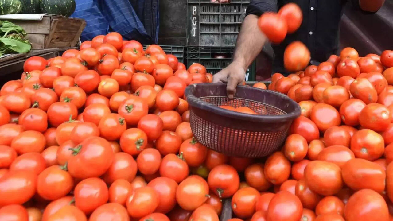 Tomato Prices Skyrocket By 300% In Chandigarh; Officials Disclose Timelines For Price Reduction