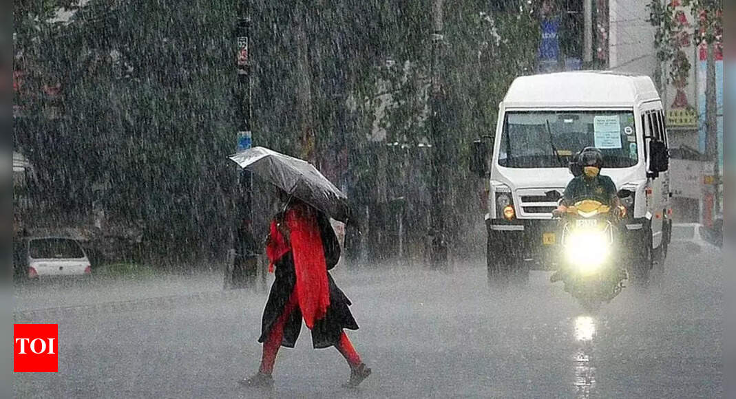 Widespread Rainfall In State Till July 1 | Kochi News - Times of India