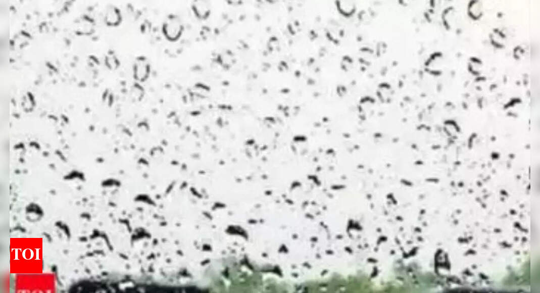 Thunderstorm with light intensity rain likely to occur over Delhi ...