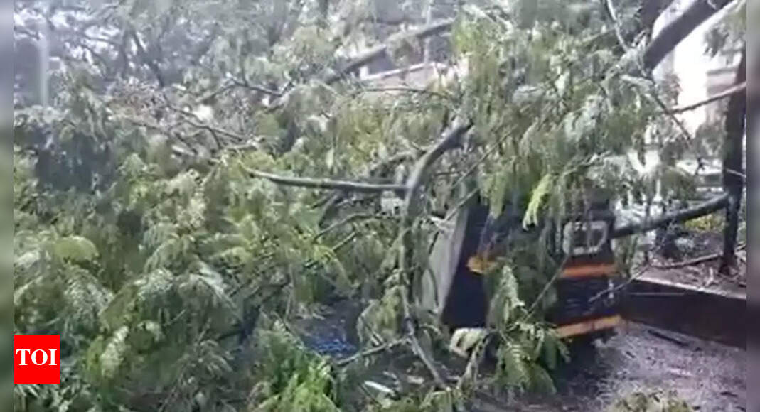 Driver injured after tree falls on auto due to heavy rain in Ulhasnagar ...