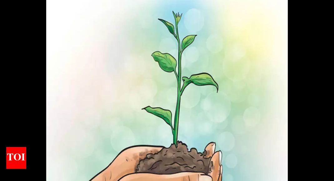 Plant ‘triveni’ Saplings, Govt Schools Told | Gurgaon News - Times of India