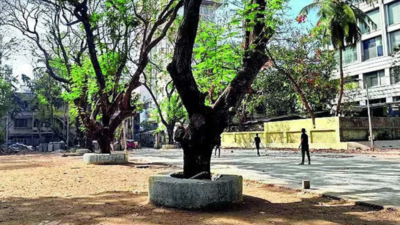 BMC still plans parking lot on Bandra ground, HC told | Mumbai News ...