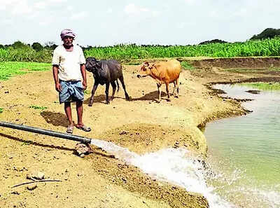 Farmer Provides Water To Parched Animals | Hubballi News - Times of India