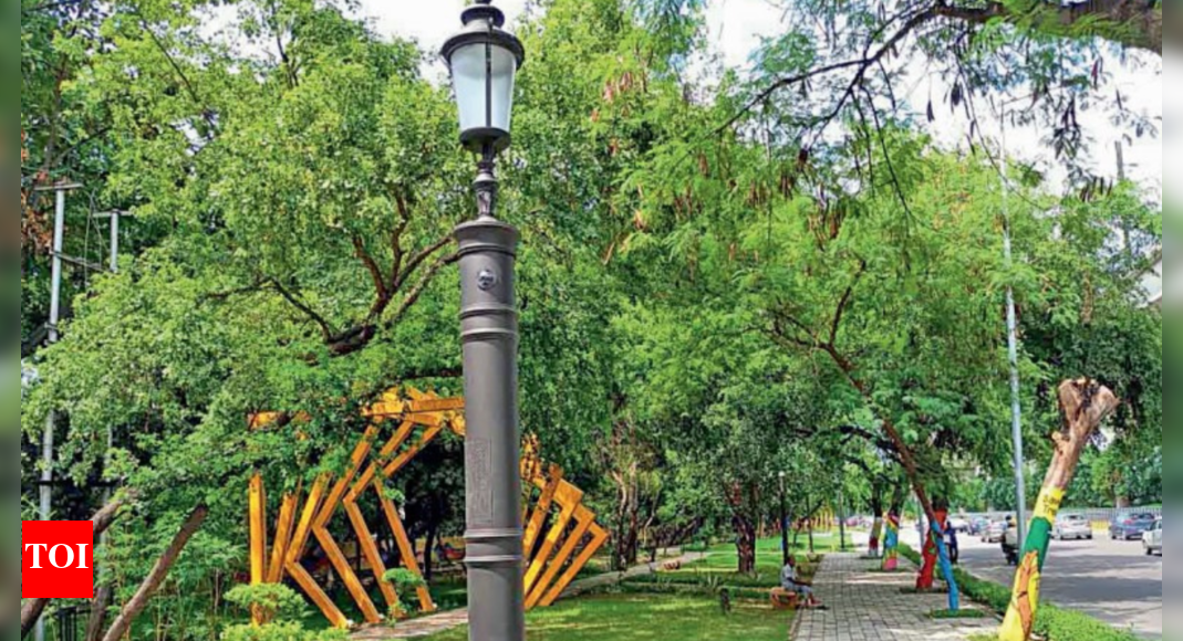 Tall Task: Noida Plans ‘smart Poles’, Can You Locate Them? | Noida News ...