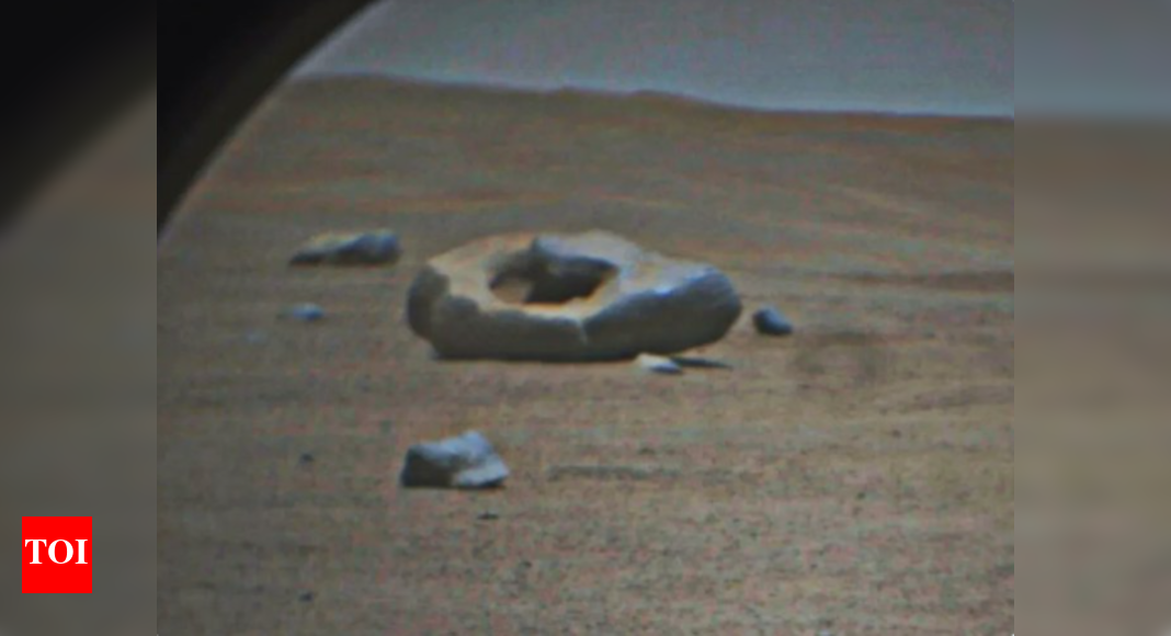 “Doughnut” shaped rock found on Mars by NASA’s rover - Times of India