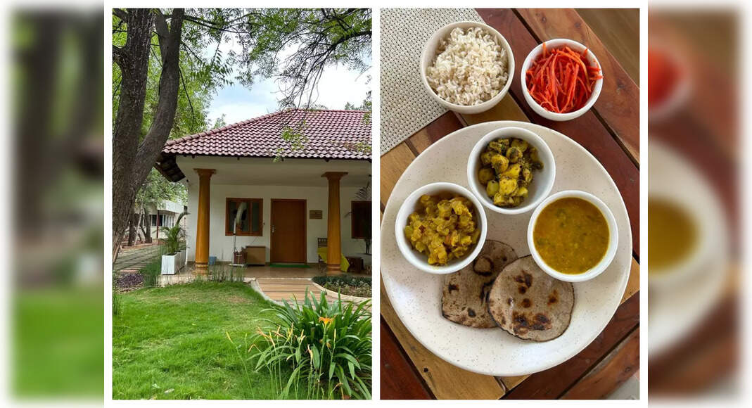 A delightful and nutritious detox amidst nature – Food & Recipes