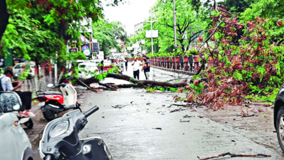 Heavy rain lashes Nashik, flooding in industrial areas | Nashik News - Times of India