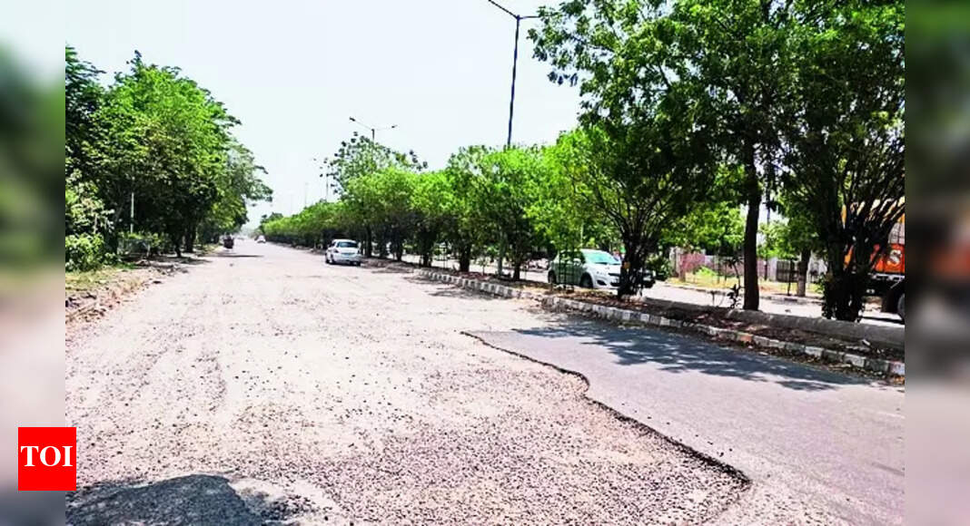 Road Reconstruction: Mc Officials To Get Survey Done | Ludhiana News ...