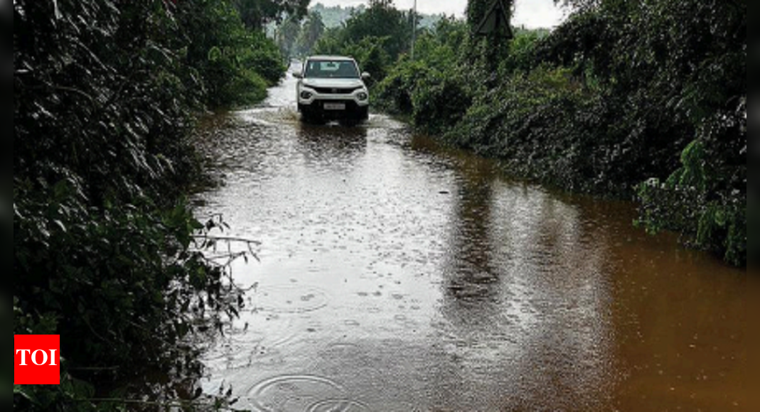 Imd: IMD forecasts excess rainfall in Goa in first 2 weeks of July ...