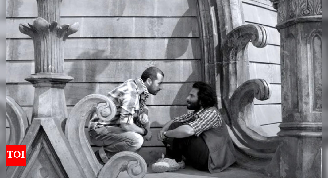 Makers of 72 Hoorain to hold a special screening at JNU on July 4 | Hindi Movie News - Times of ...