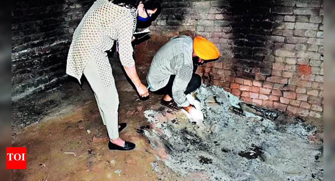 Drug Addict Kills Mother, Brother | Chandigarh News - Times of India