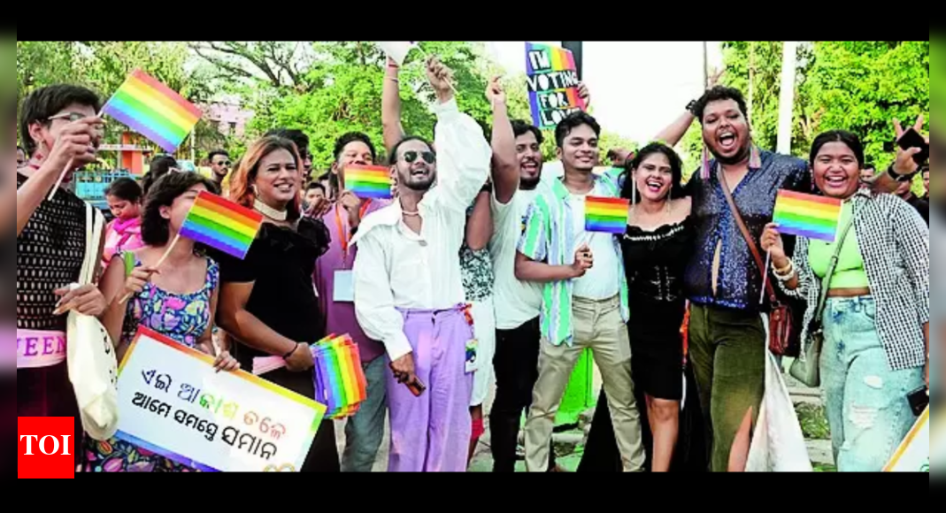 Lgbtq Members, Supporters, Activists Join Pride Walk In City ...