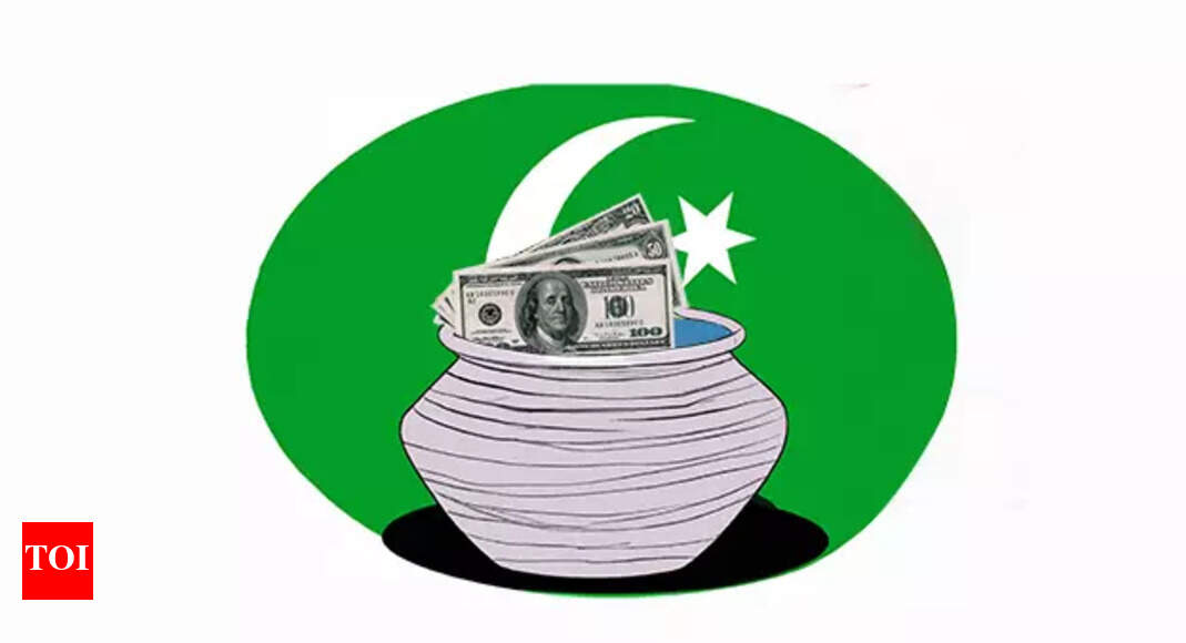 Why this IMF bailout may be Pakistan's last chance - Times of India