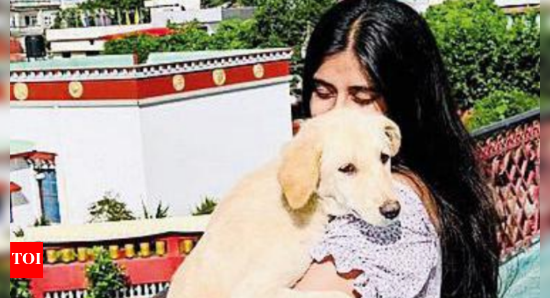 'Selfie with strays' campaign to 'spread love for abandoned animals ...