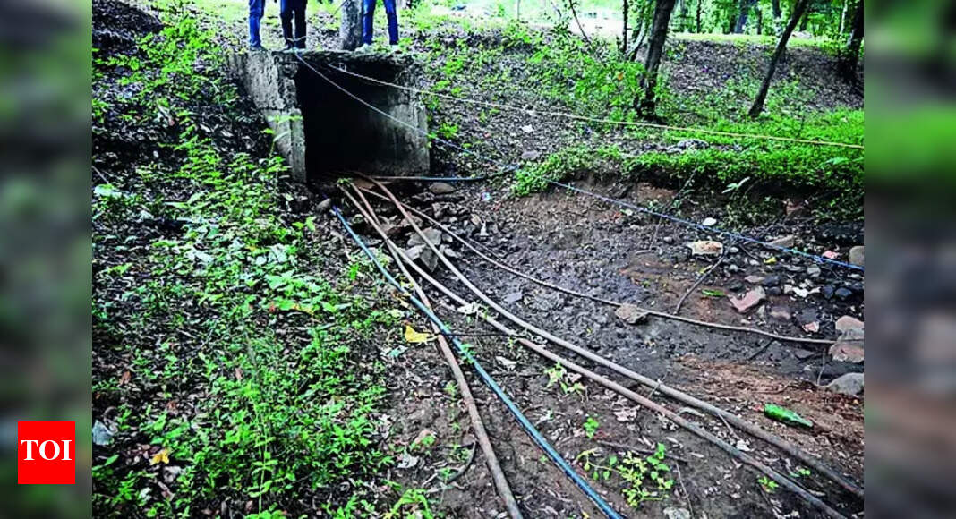 Bsl: Unauthorised Water Connections By Squatters Make Bsl Township Go ...