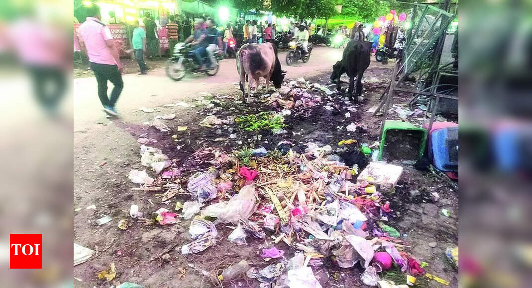 Garbage Sites Stink After Rains, Locals Fear Spread Of Diseases ...