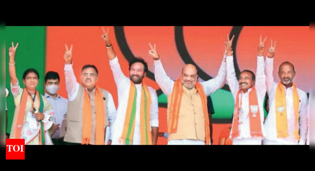 Dollops of drama in saffron unity lunch: Buffalo tweet buried, but mum ...