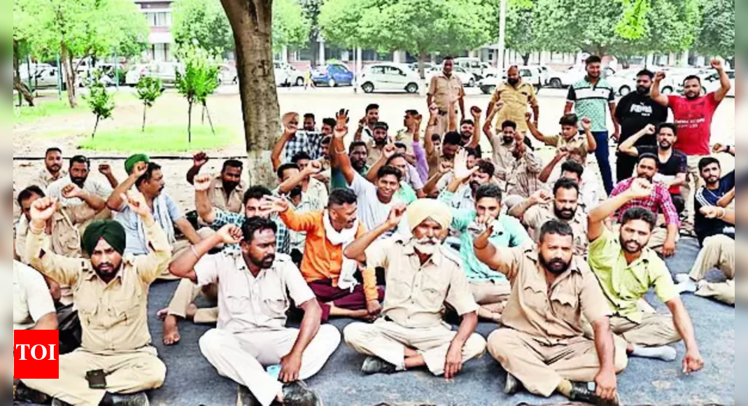 Pau Security Guards Stage Dharna Over New Regularisation Process ...
