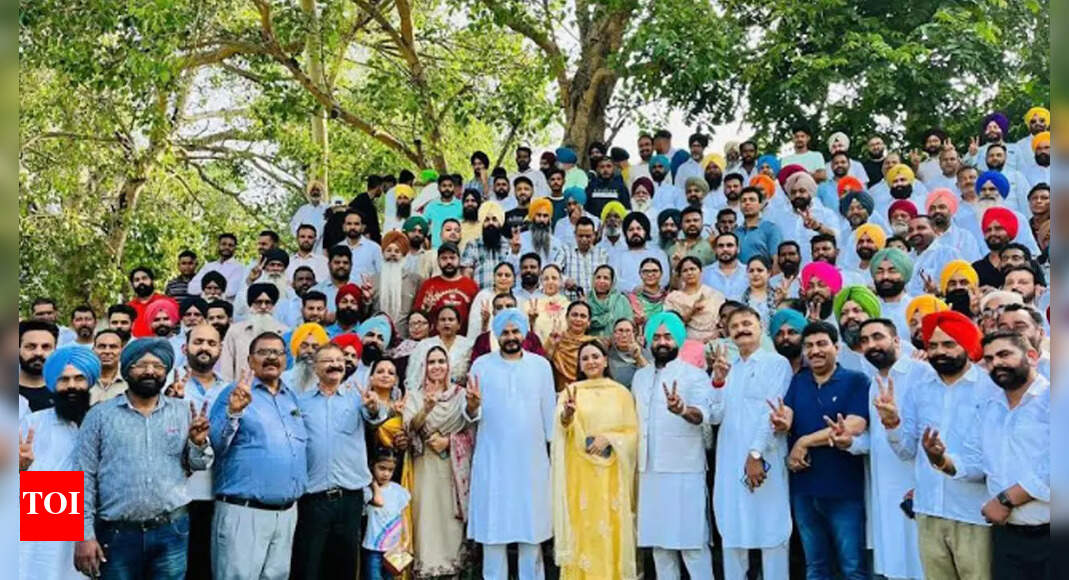 AAP all set to get its first mayor in Punjab's Moga | Amritsar News - Times of India