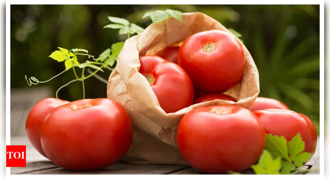 High Tomato Prices: The reason that caused this spike - Times of India