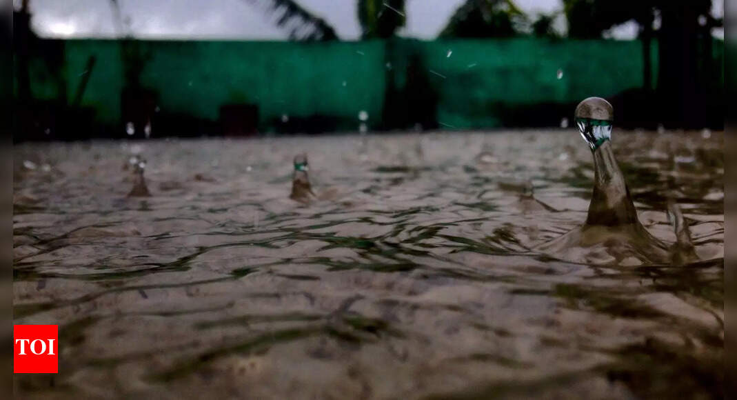 Rain In Amritsar - The Times of India