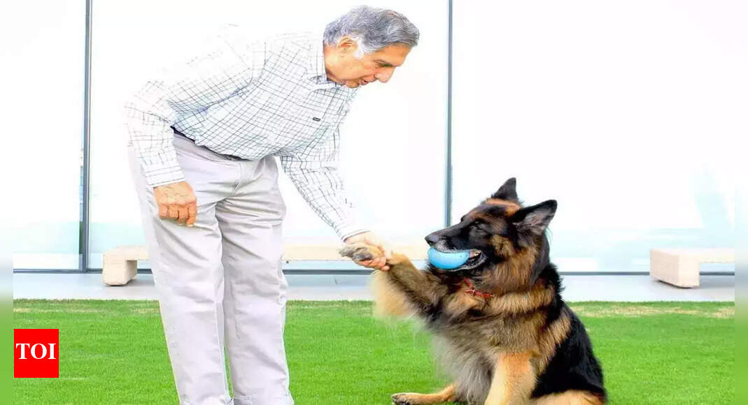 ‘Pure man’: Ratan Tata's compassionate appeal about sheltering stray ...