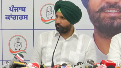 Punjab Congress leader Amrinder Raja Singh Warring accuses AAP of doubletalk on UCC | Chandigarh ...