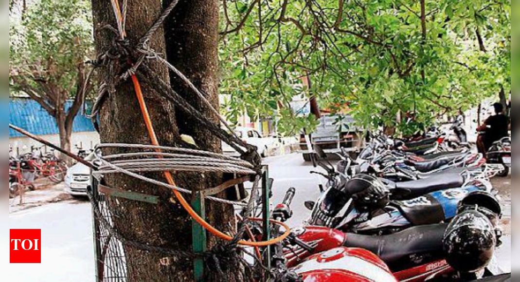 Dangling danger: Live wires hang loose, but admin finds it a tall order ...