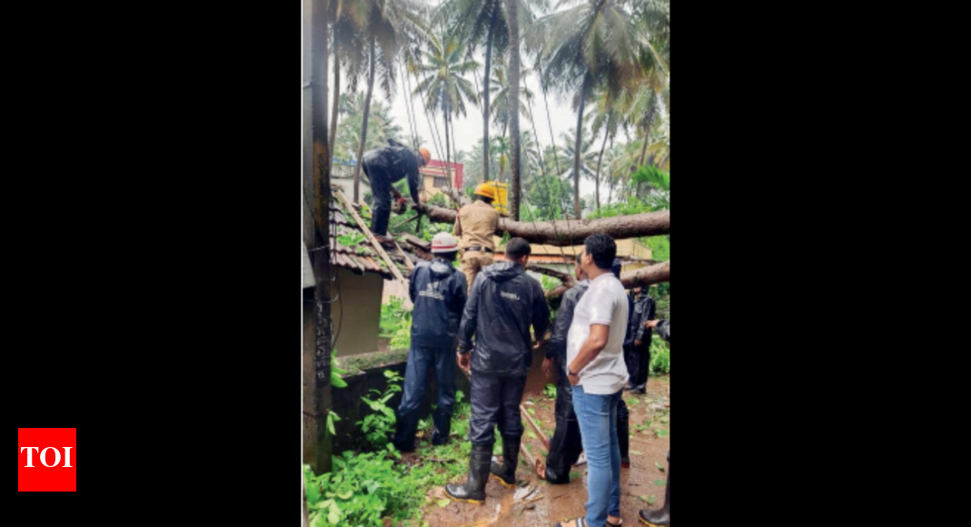 Mangalore Rains Today: Red alert issued in coast for today; moderate ...