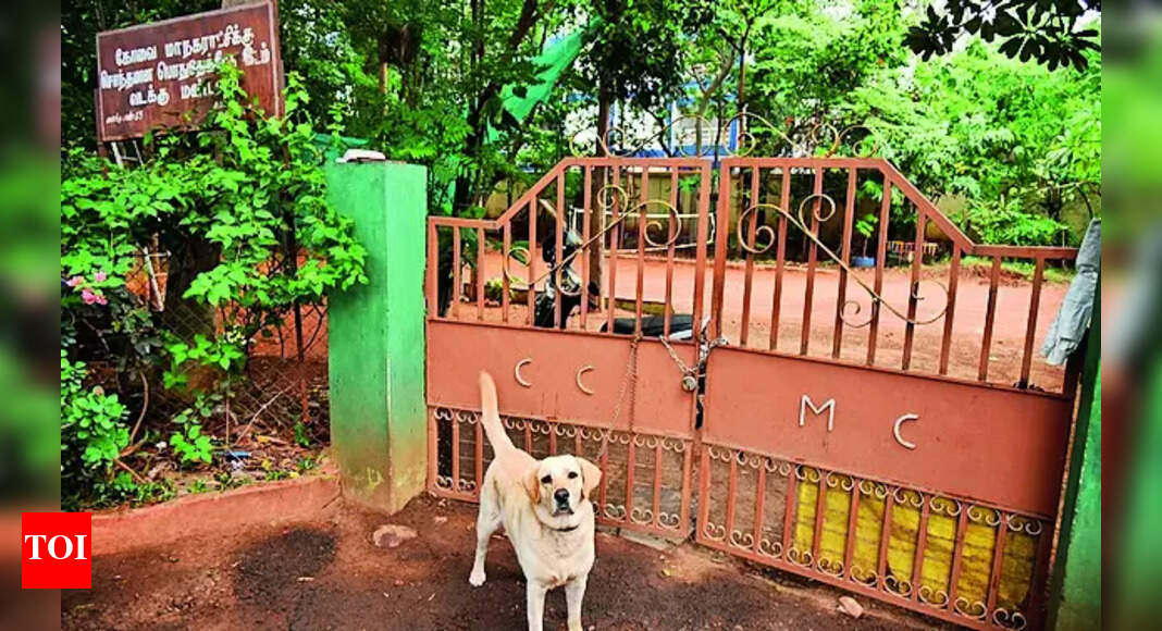 New Damu Nagar Residents Welfare Association: Resident Assn’s Board ...