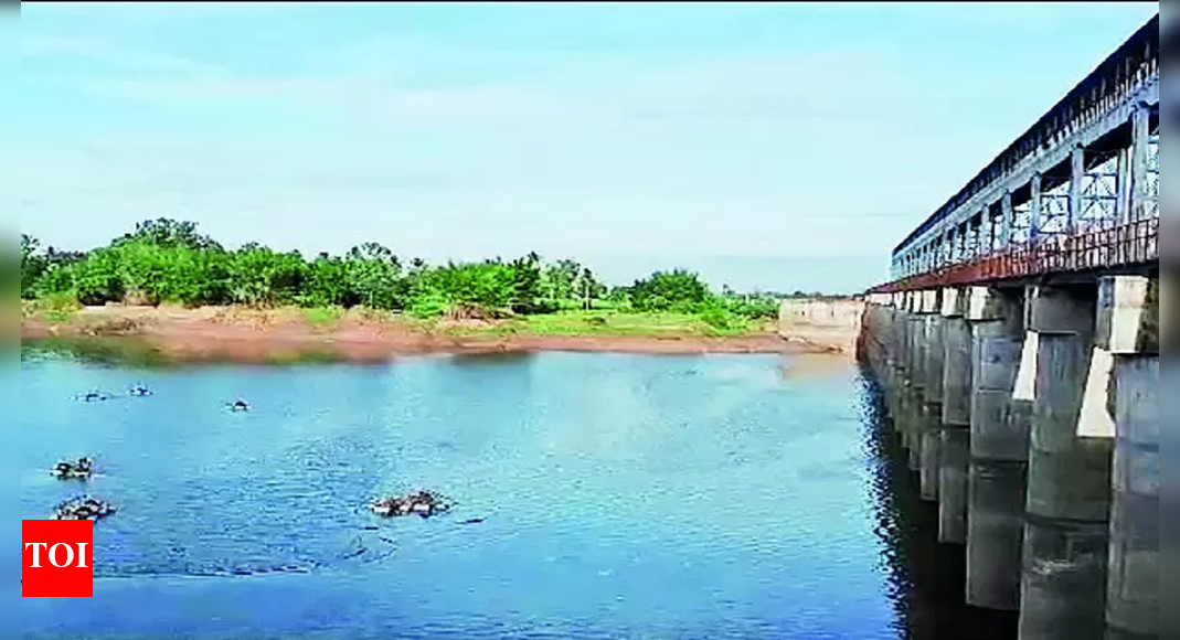 Maha Rains Boost Krishna Flow; Water Reaches Hipparagi Barrage ...