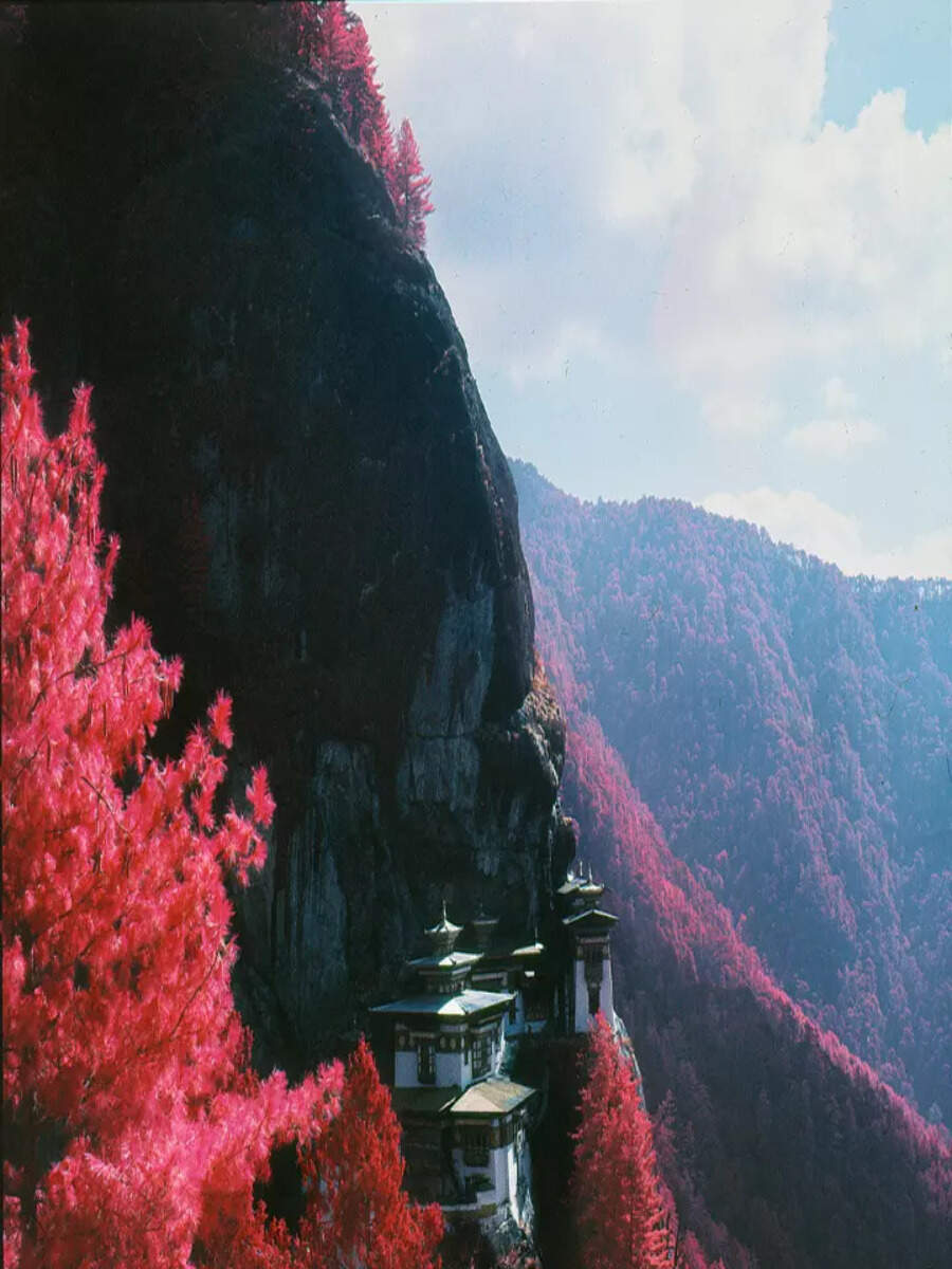 Offbeat Bhutan 15 Stunning Places Times Of India