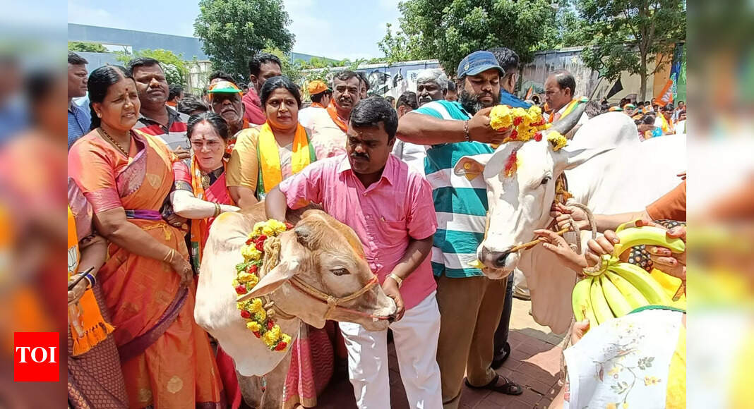 No proposal to repeal anti-cow slaughter law: Karnataka minister K ...
