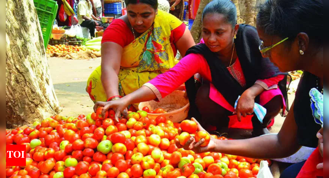 Shortage pushes tomato prices past Rs 120 | Goa News - Times of India