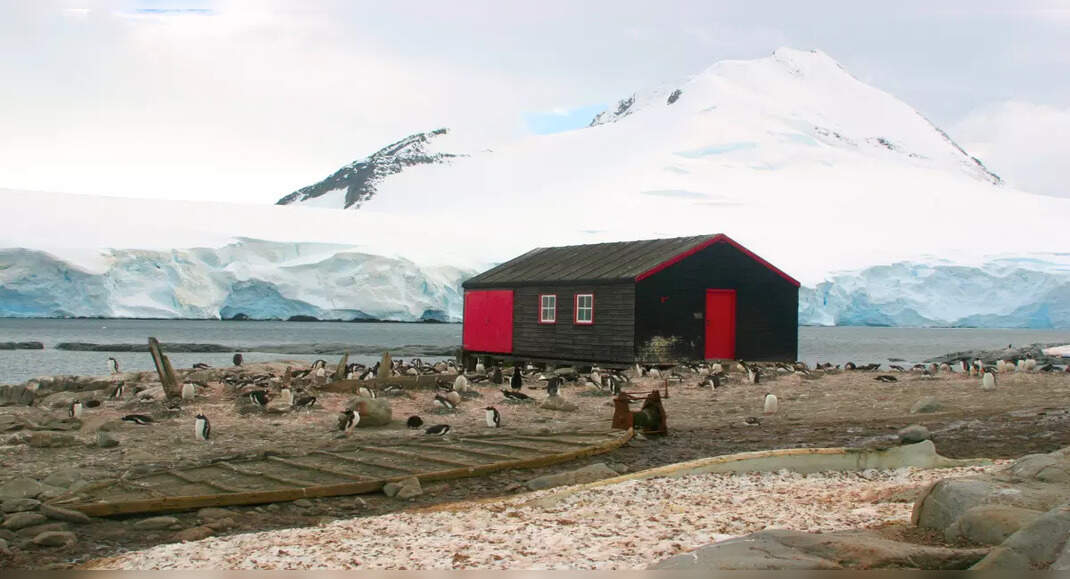Antarctica’s Penguin Post Office: What is the world's remotest post ...