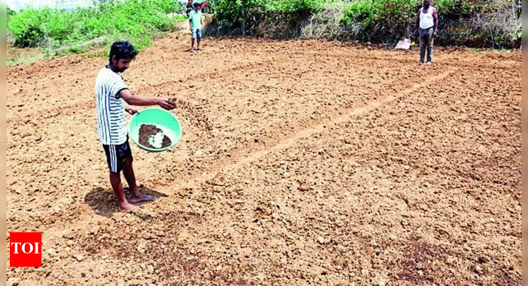 State May Get Fresh Spell Of Rain From Today: Imd | Ranchi News - Times ...