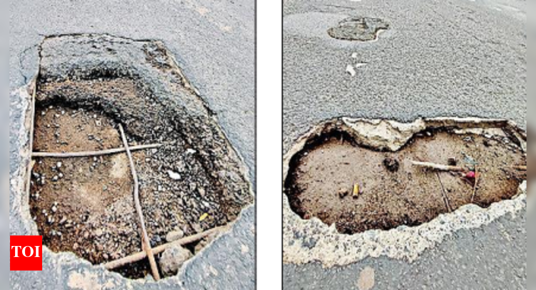 Pothole-ridden Bridges Smoothen Way For Woes | Surat News - Times of India