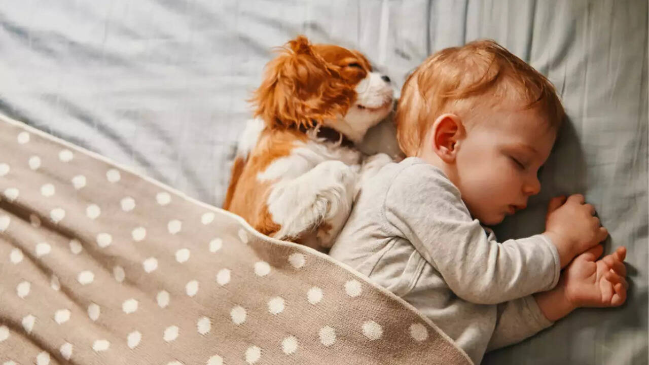 The Science Of Adorable: Exploring The Reason Behind Why Babies Look Cute