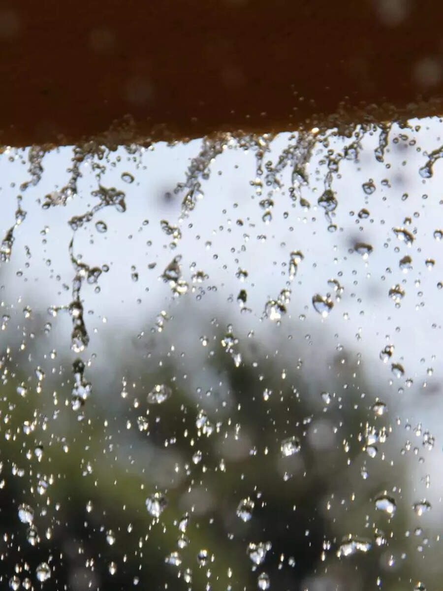 Beautiful monsoon quotes from literature | Times of India