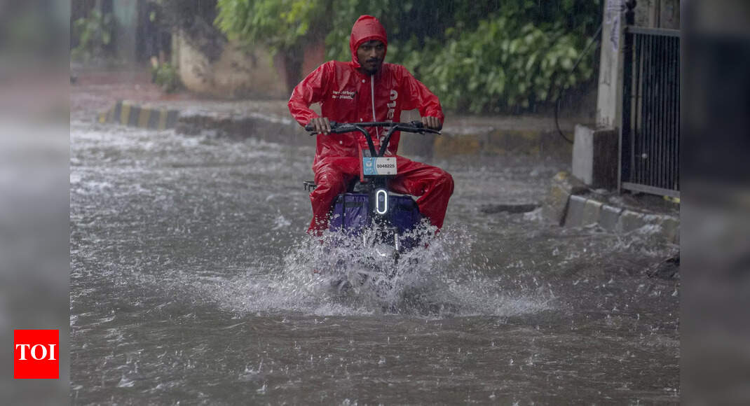 Monsoon rally: Deficit dips to 5%, from 30%, in 12 days | India News ...