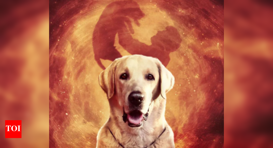 Naanu Matthu Gunda gets a sequel | Kannada Movie News - Times of India