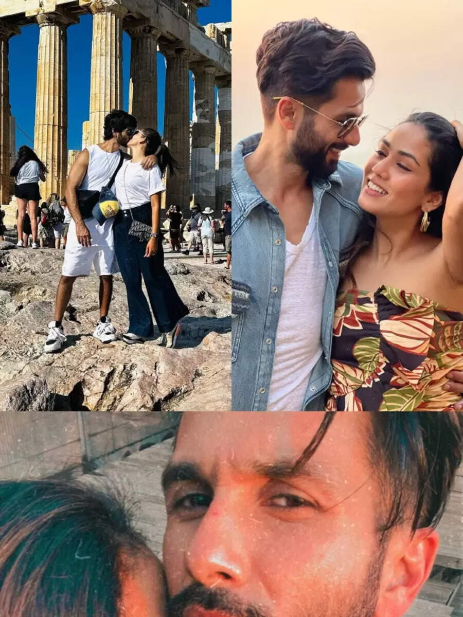 Photos of Shahid Kapoor and Mira Rajput which scream 'love' | Times of ...