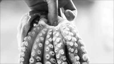 Man hospitalized after choking on an octopus - Times of India