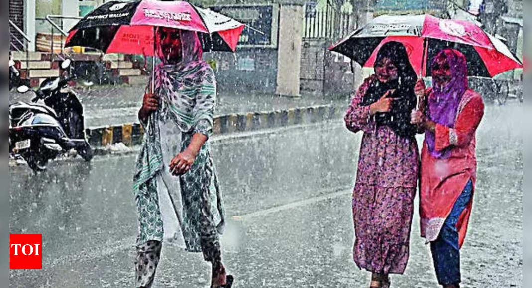 Fairly widespread rainfall in Bihar from tomorrow: Met | Patna News ...