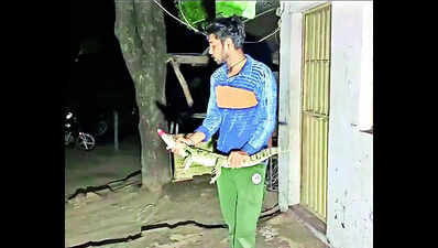 Waghodia: Crocodile Enters Front Yard Of House In Waghodia Village ...