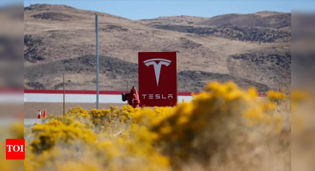 Tesla rolls out global customer referral program as EV price war heats ...