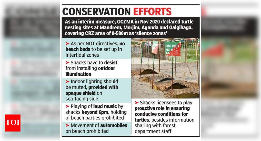 Turtle nesting, habitat management plan for Goa gets nod, prior ...