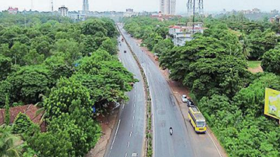 Greens See Red Over Nhai’s Plans To Clear 602 Trees | Mangaluru News ...