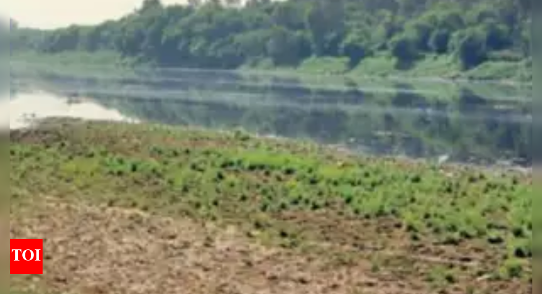 Territorial Army taken off Yamuna floodplain | Delhi News - Times of India